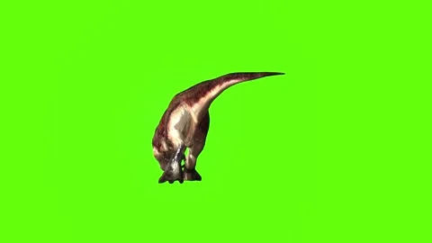 T.rex dinosaur run bite green screen ani... | Stock Video | Pond5