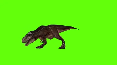 T.rex dinosaur run bite green screen ani... | Stock Video | Pond5