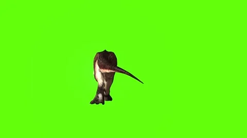 T.rex dinosaur run green screen animatio... | Stock Video | Pond5