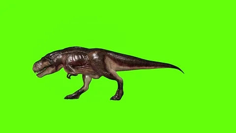 T.rex dinosaur run green screen animatio... | Stock Video | Pond5