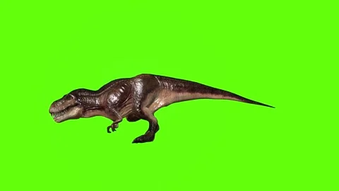 T.rex dinosaur run head low green screen... | Stock Video | Pond5