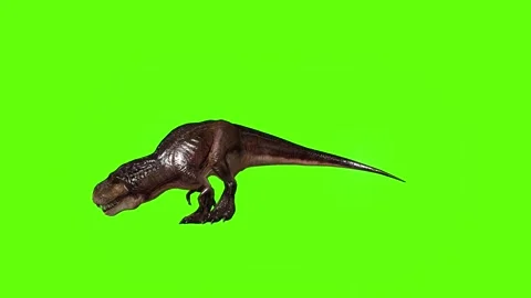 T.rex dinosaur turn 180 left look left g... | Stock Video | Pond5