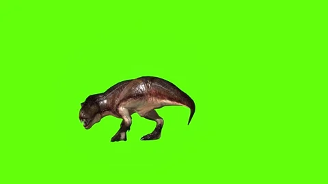 T.rex dinosaur turn 180 left look right ... | Stock Video | Pond5