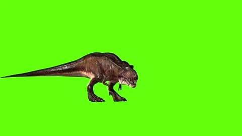 T.rex dinosaur turn 180 right green scr... | Stock Video | Pond5