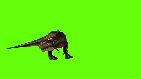 Green Screen T Rex Stock Video Footage | Royalty Free Green Screen T ...
