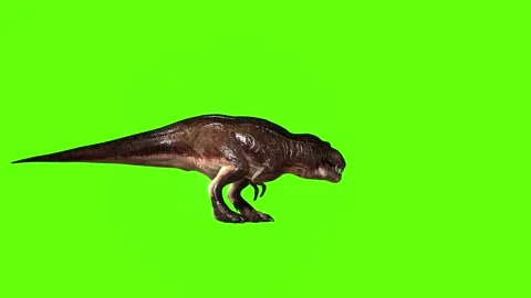 T.rex dinosaur turn 180 right look right... | Stock Video | Pond5