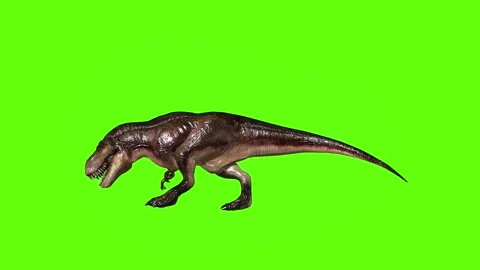 T.rex dinosaur walk bite green screen an... | Stock Video | Pond5