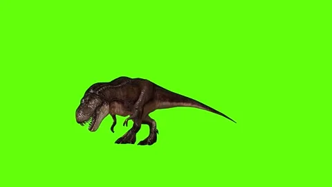 T.rex dinosaur walk bite green screen an... | Stock Video | Pond5
