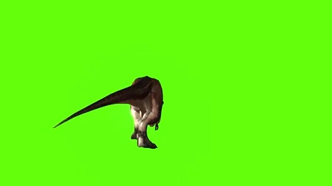 T.rex dinosaur walk bite green screen an... | Stock Video | Pond5
