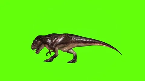 Dog Bite Animation Stock Videos – Royalty-Free HD & 4K Videos | Page 2