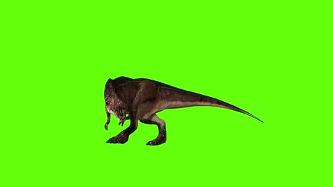 Dog Bite Animation Stock Videos – Royalty-Free HD & 4K Videos | Page 2