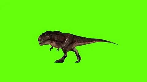 T.rex dinosaur walk turn 45 left green s... | Stock Video | Pond5