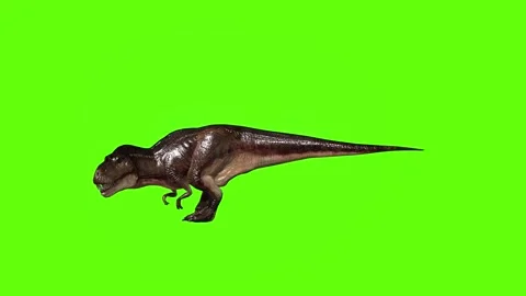 T.rex dinosaur walk turn 90 left green s... | Stock Video | Pond5