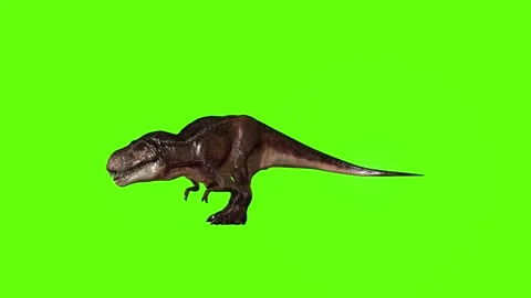 T Rex Green Screen Stock Footage ~ Royalty Free Stock Videos | Pond5