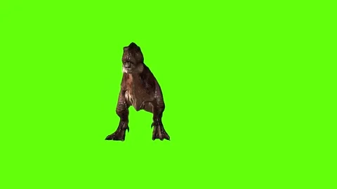 T.rex investigation green screen animati... | Stock Video | Pond5