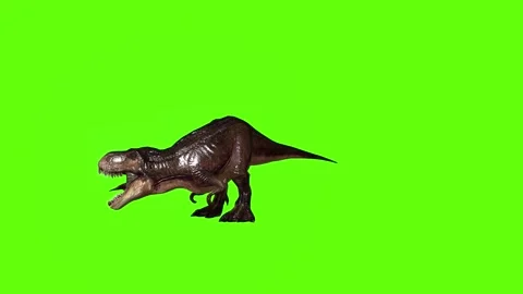 T.rex roar right green screen animation ... | Stock Video | Pond5