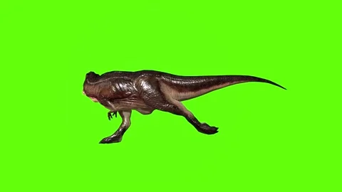 T Rex Green Screen Stock Footage ~ Royalty Free Stock Videos | Pond5