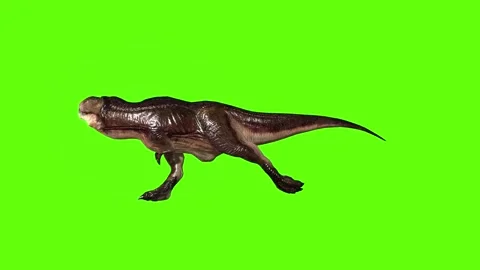 T Rex Green Screen Stock Footage ~ Royalty Free Stock Videos | Pond5