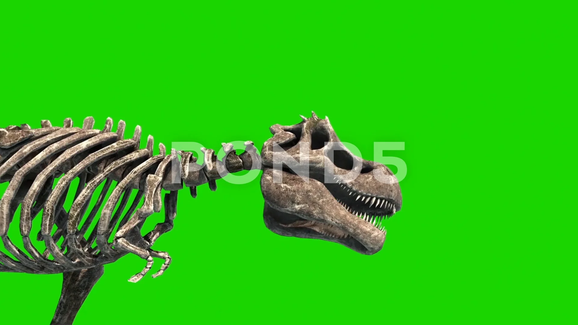 Attack Skeleton House On Haunted Hill Skeleton Attack | Orfeostregato