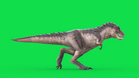 TRex Tyrannosaurus Green Screen Walkcycl... | Stock Video | Pond5