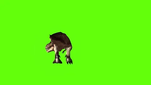 T.rex Walking green screen animation 3D ... | Stock Video | Pond5