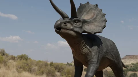 Triceratops Dinosaur Intimidating Roar -... | Stock Video | Pond5