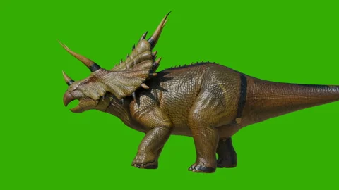 Drex Side View Stock Videos – Royalty-Free HD & 4K Videos | Pond5