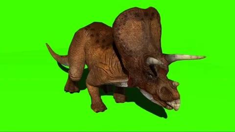 Triceratops Running on Green Screen 01 | Stock Video | Pond5
