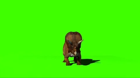 Triceratops Running on Green Screen 02 | Stock Video | Pond5
