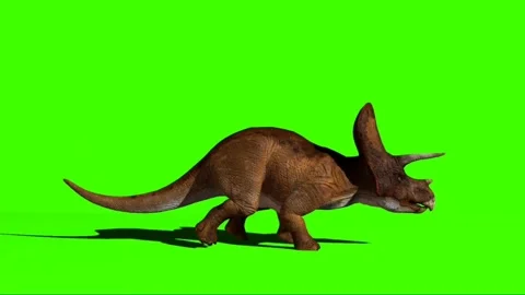 Triceratops Running on Green Screen | Stock Video | Pond5