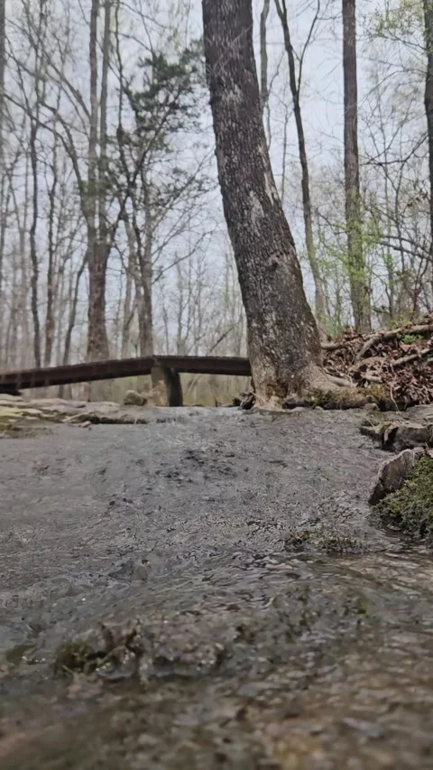 Rock Start Theme Stock Footage ~ Royalty Free Stock Videos | Pond5