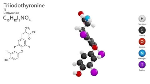 Hormone O Stock Videos – Royalty-Free HD & 4K Videos | Pond5