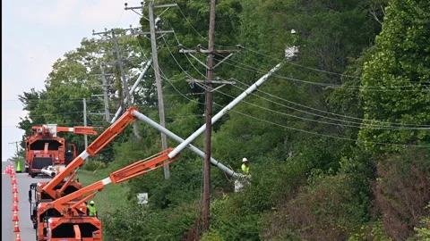 Trimming Trees and Brush Near Power Line... | Stock Video | Pond5