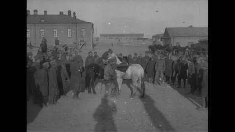 Horse Riding Camp Stock Videos – Royalty-Free HD & 4K Videos