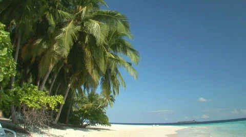 Background Video Chill Stock Videos – Royalty-Free HD & 4K Videos