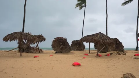 Tropical beach after storm. Fallen paras... | Stock Video | Pond5