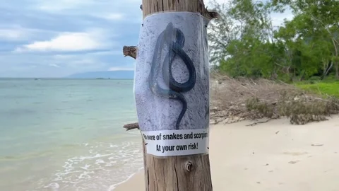 Tropical Beach Caution, Snakes & Scorpio... | Stock Video | Pond5