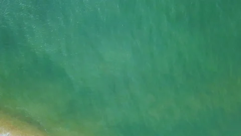 Tropical It Beach Loop Stock Footage ~ Royalty Free Stock Videos | Pond5