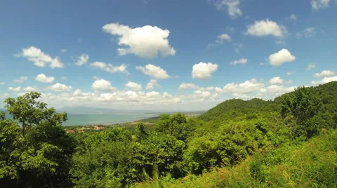 Tropical countryside view with sea in ba... | Stock Video | Pond5