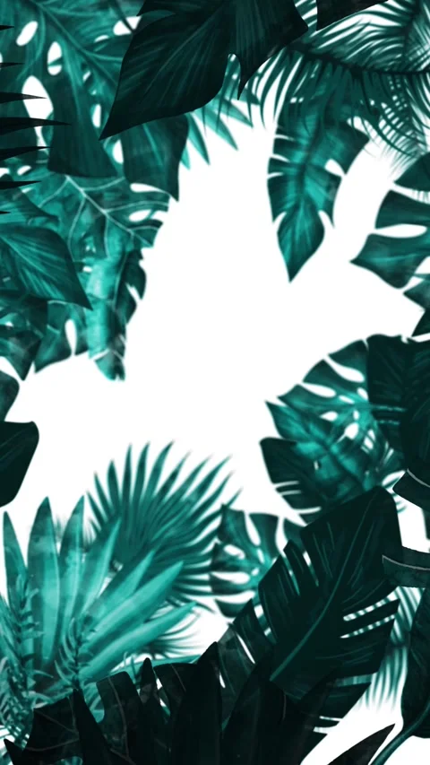 Plants Background Design Stock Videos – Royalty-Free HD & 4K Videos | Pond5