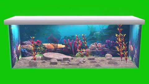 Tropical Fish Tank Green Screen (2) | Stock Video | Pond5