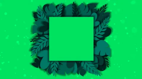 Tropical palm leaves animation template ... | Stock Video | Pond5