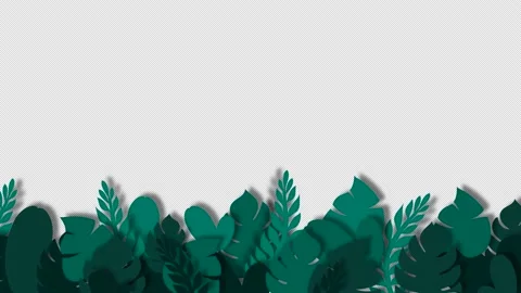 Tropical palm leaves animation template ... | Stock Video | Pond5