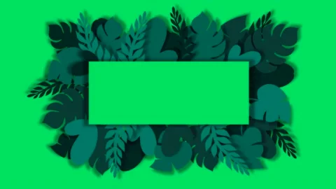 Tropical palm leaves animation template ... | Stock Video | Pond5
