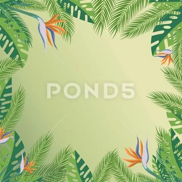 Tropical palm leaves, jungle leaves vector floral background ...