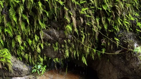 Water Dripping Down Stock Videos – Royalty-Free HD & 4K Videos | Page 2