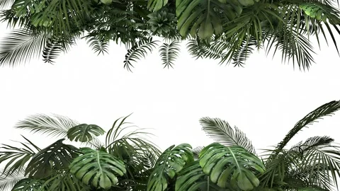 Tropical Background Png Stock Videos – Royalty-Free HD & 4K Videos | Pond5
