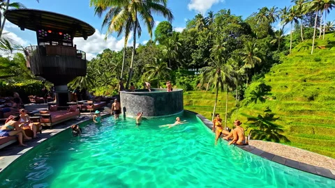 tropical pool party at Ubud jungle bar | Stock Video | Pond5