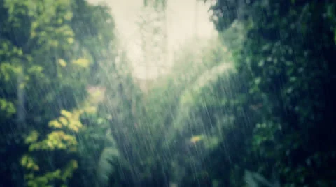 Asia Rain Stock Footage ~ Royalty Free Stock Videos | Pond5