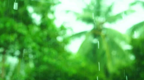 Asia Rain Stock Footage ~ Royalty Free Stock Videos | Pond5